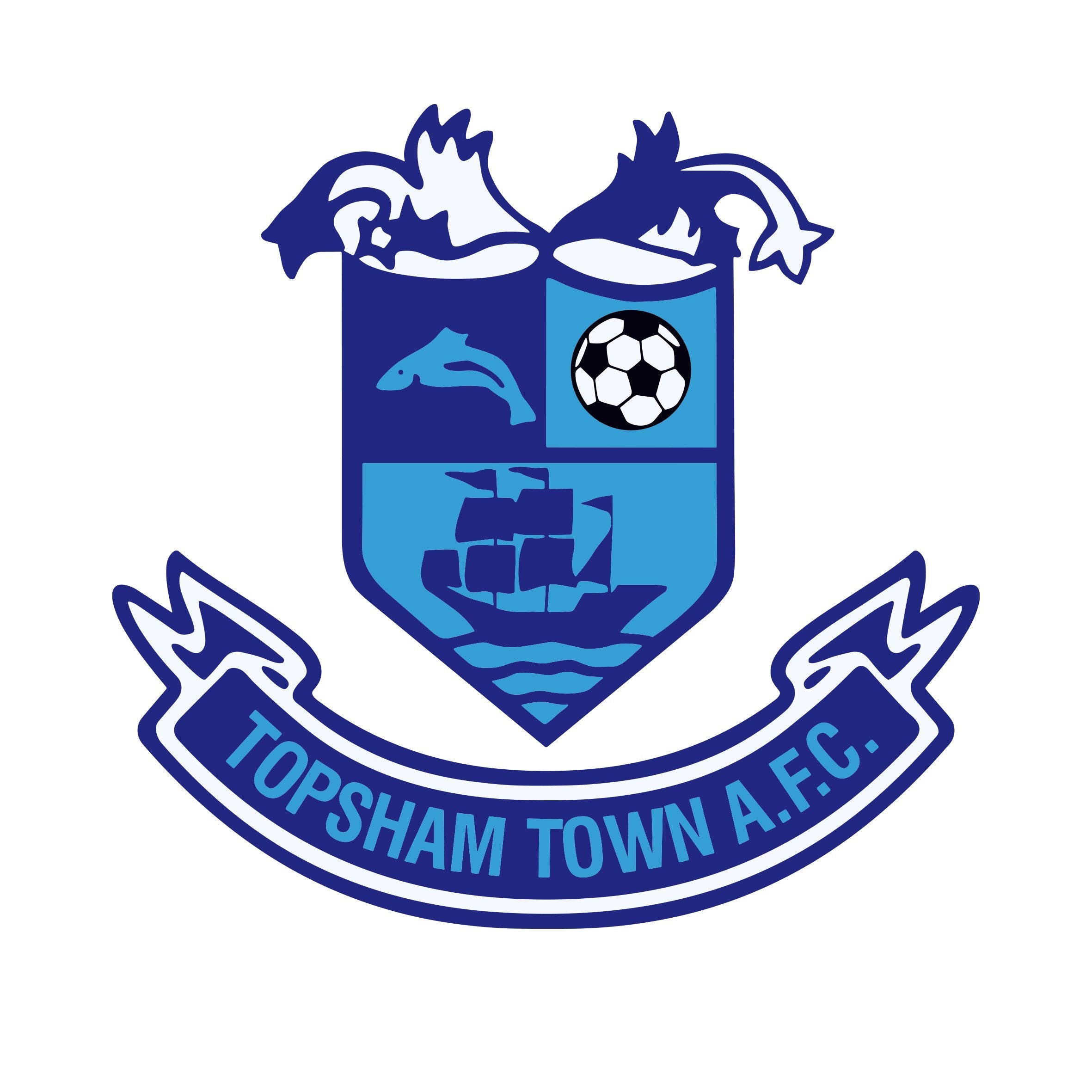 Topsham Town FC – VX3