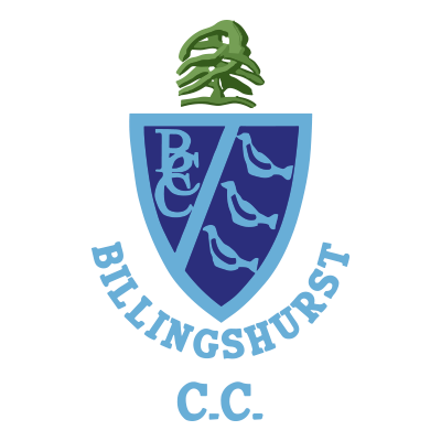 Billingshurst Cricket Club – VX3
