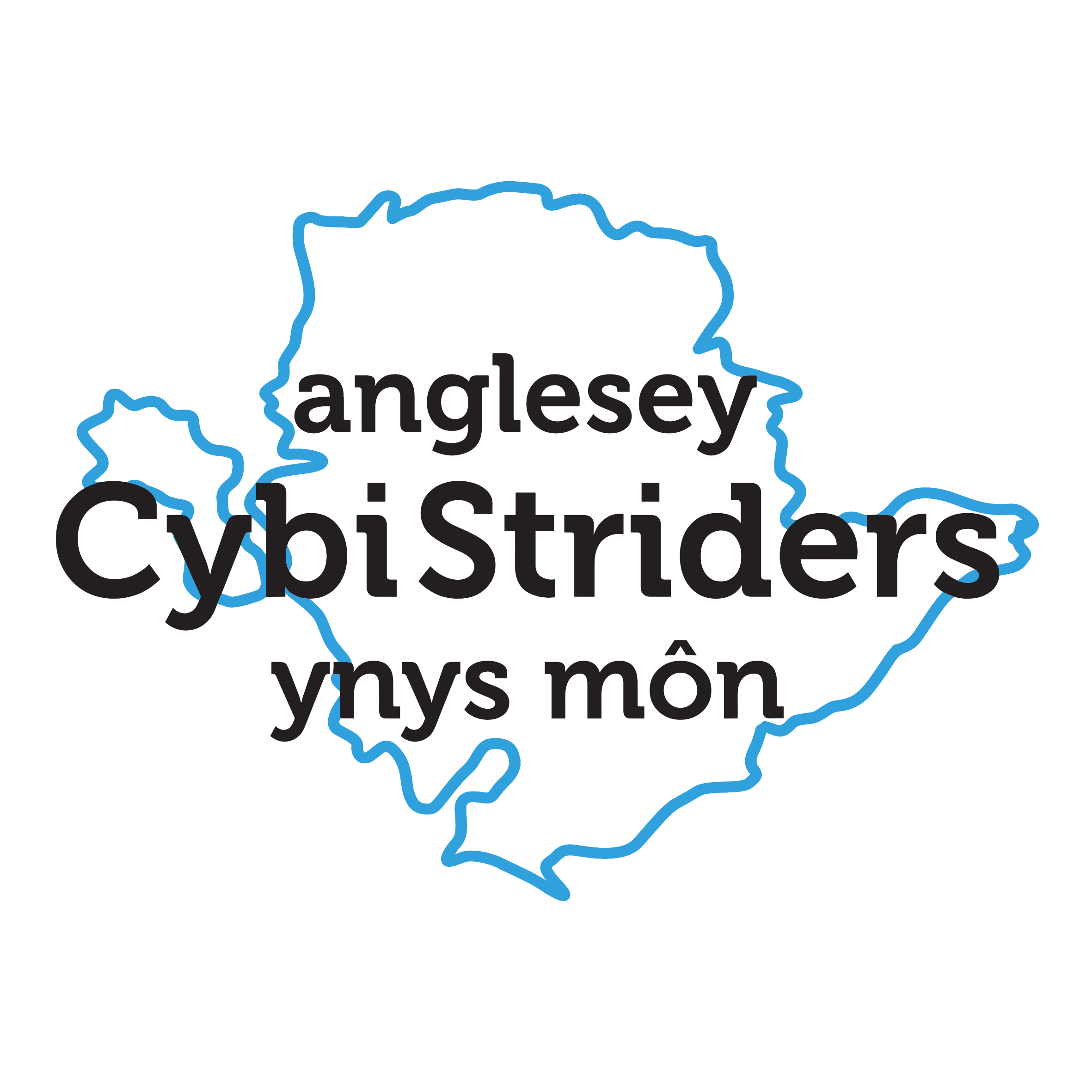 Cybi Striders – VX3