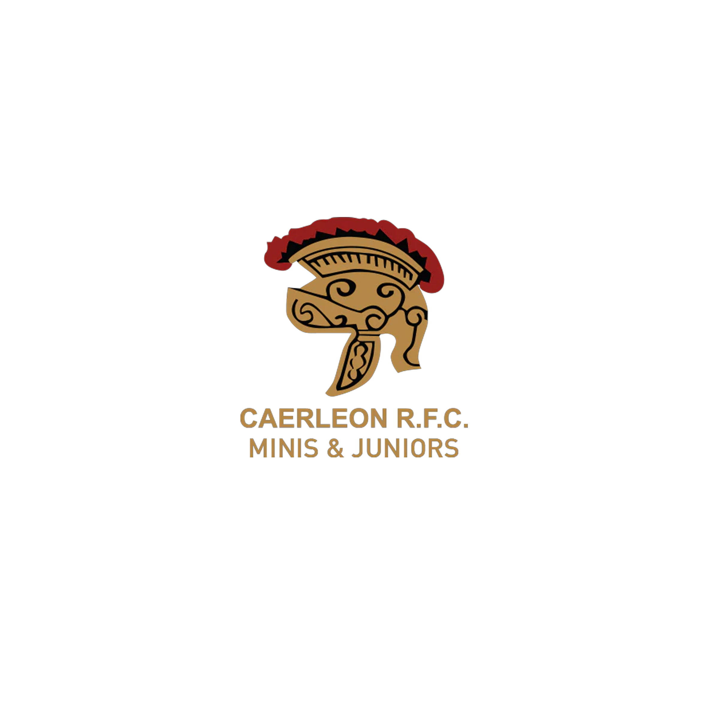 Caerleon RFC Minis & Juniors – VX3