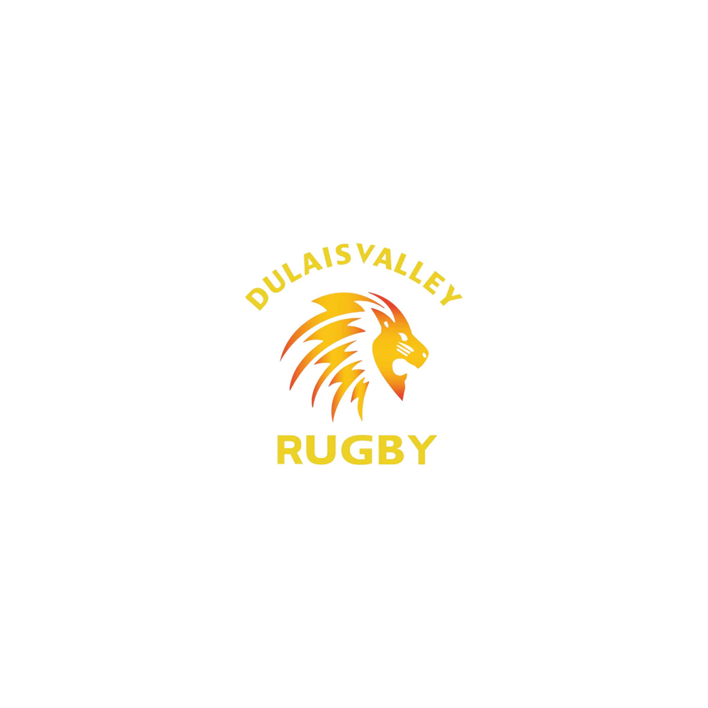 Dulais Valley Rugby – VX3