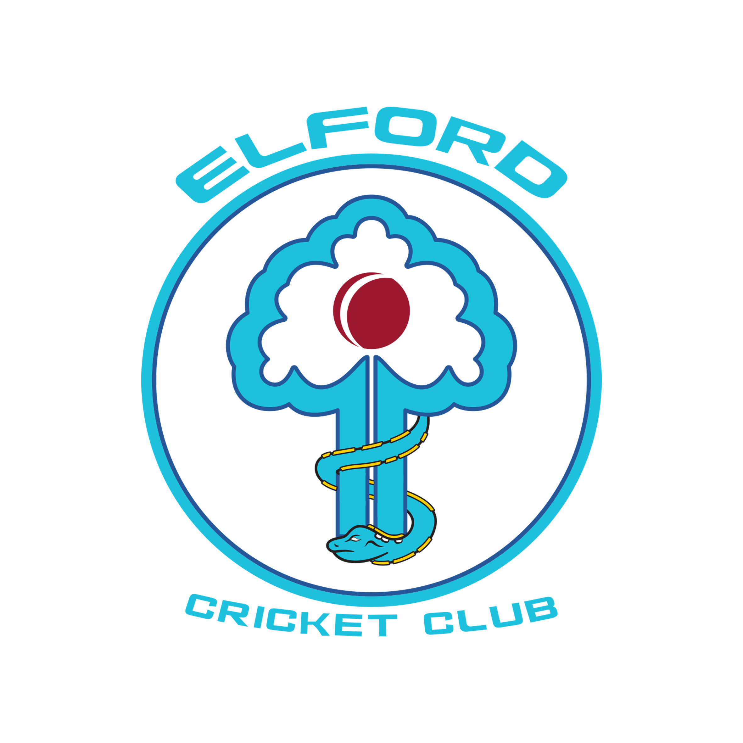 Elford Cricket Club – VX3