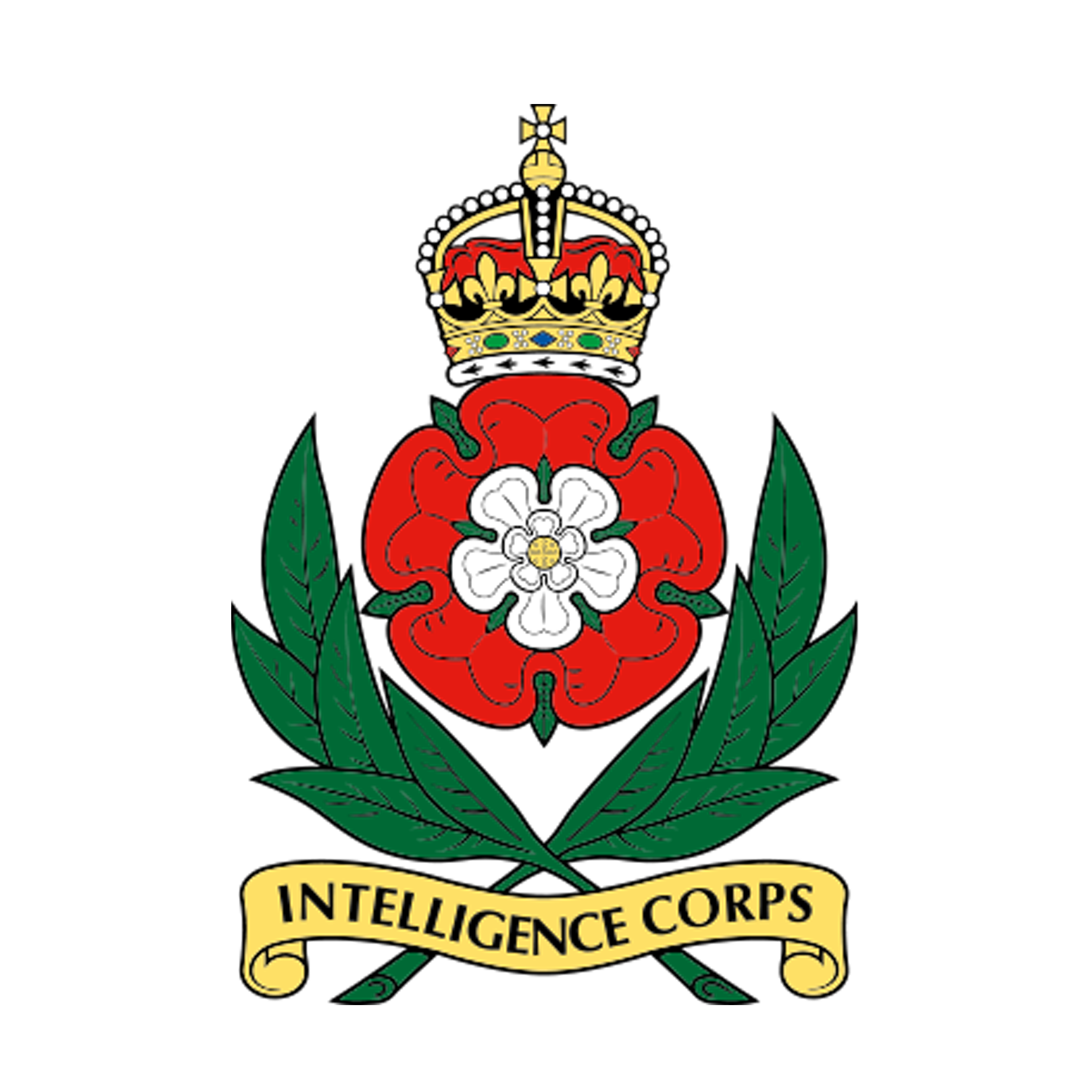 Intelligent Corps Rugby – VX3