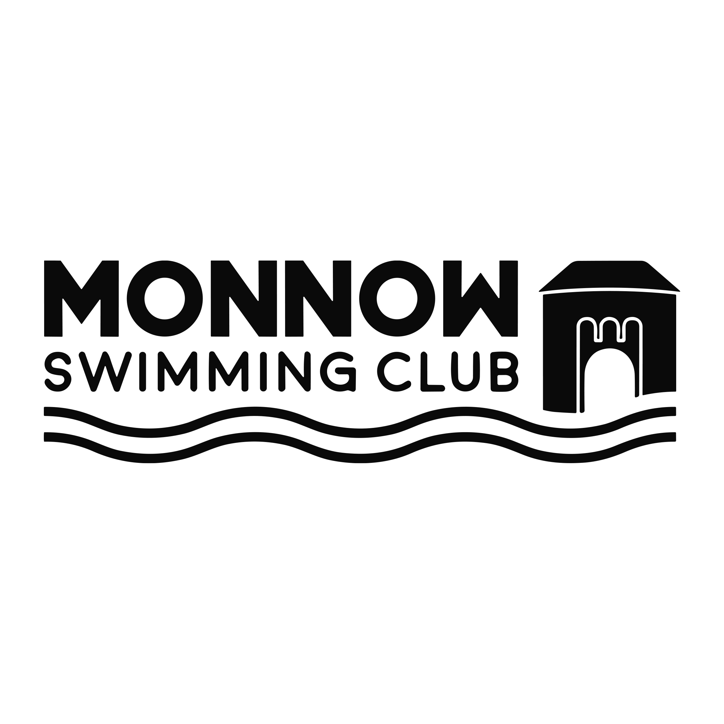 Monnow Swimming Club – VX3