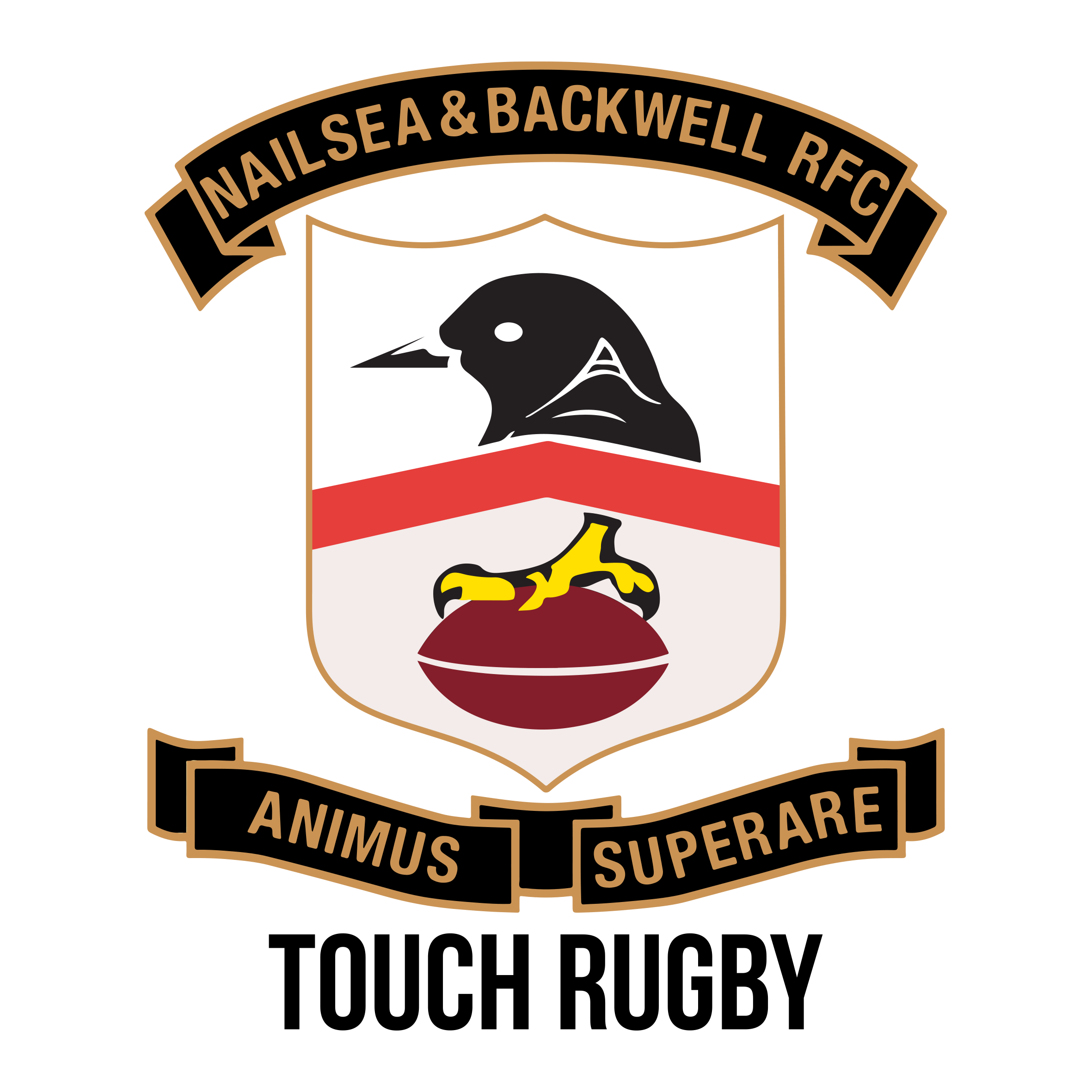 Nailsea & Backwell RFC - Touch Rugby – VX3