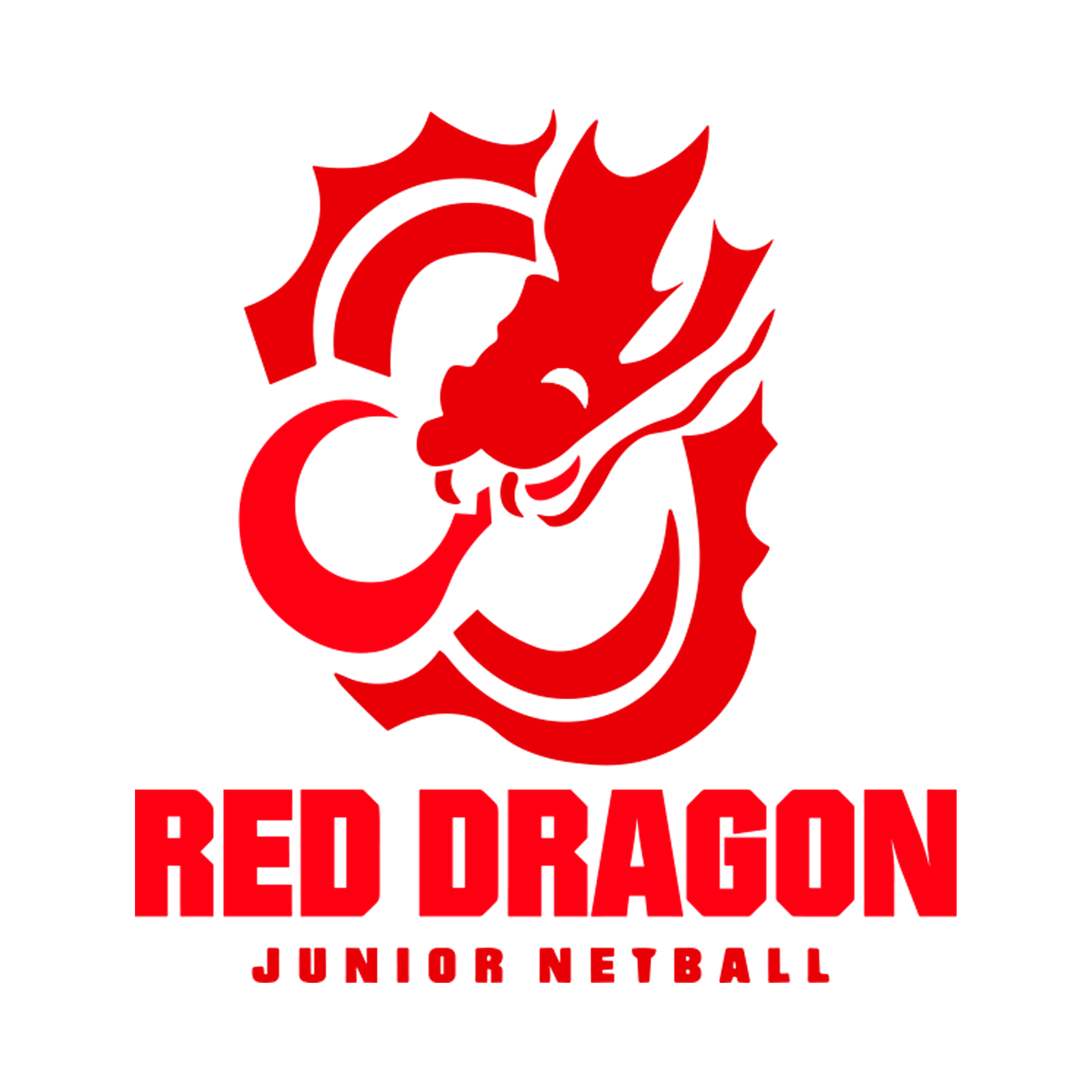 Red Dragons Junior Netball – VX3