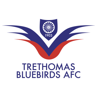 Trethomas Bluebirds FC – VX3