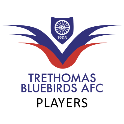 Trethomas Bluebirds FC - Players – VX3