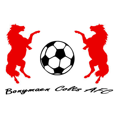 Bonymaen Colts AFC – VX3